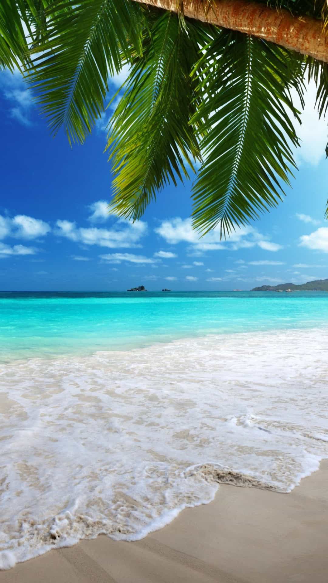 Beach IPhone Backgrounds PixelsTalk Net