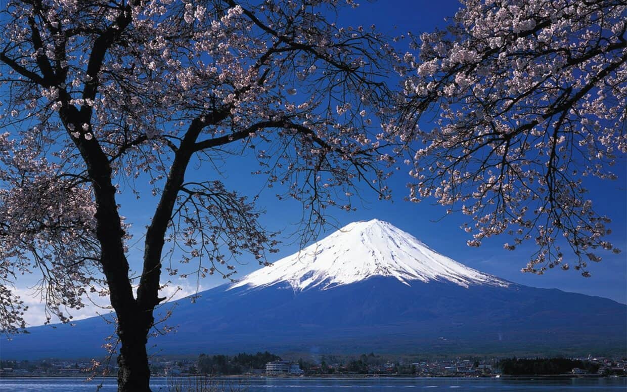 Spring in Japan Wallpapers HD - PixelsTalk
