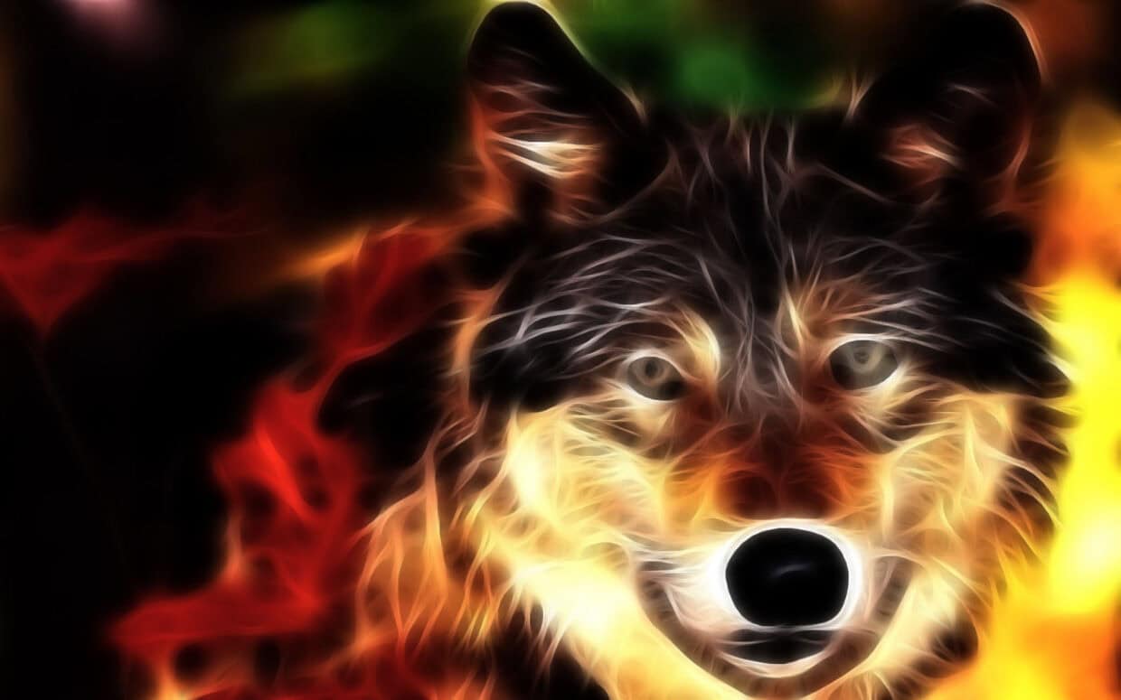 Wolf Backgrounds - PixelsTalk