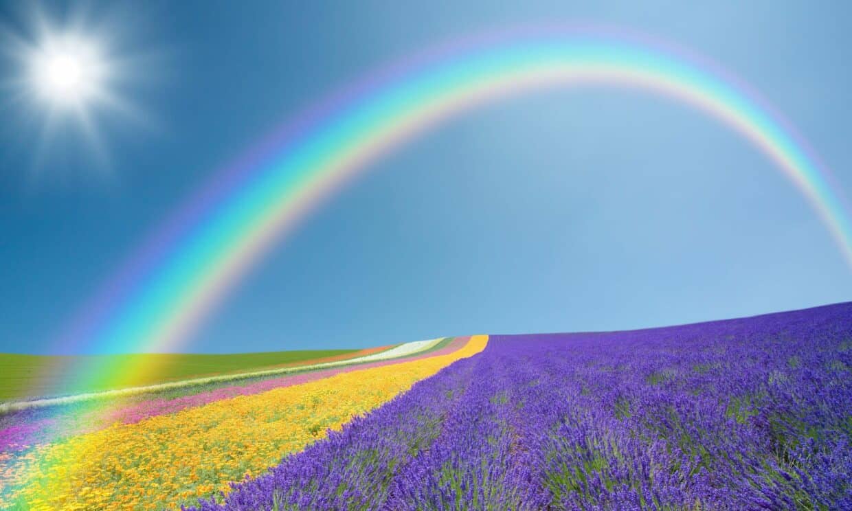 Rainbow Backgrounds - PixelsTalk