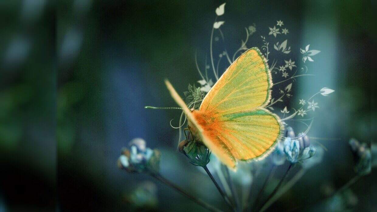 Nice Wallpapers HD - PixelsTalk