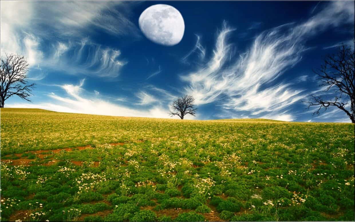 Nice Backgrounds for desktop - PixelsTalk