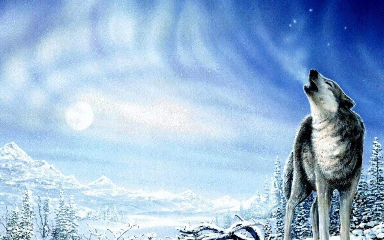 Wolf Backgrounds - PixelsTalk