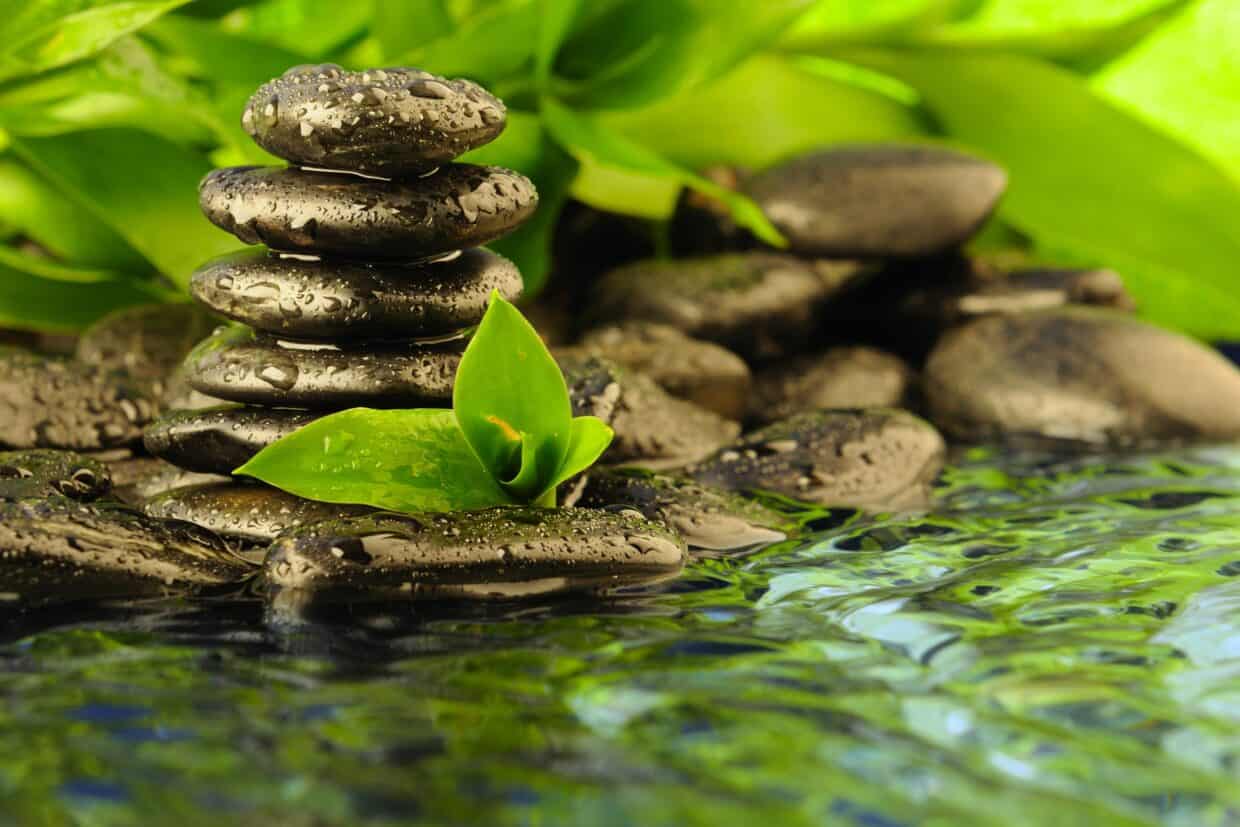 Nature Backgrounds - PixelsTalk