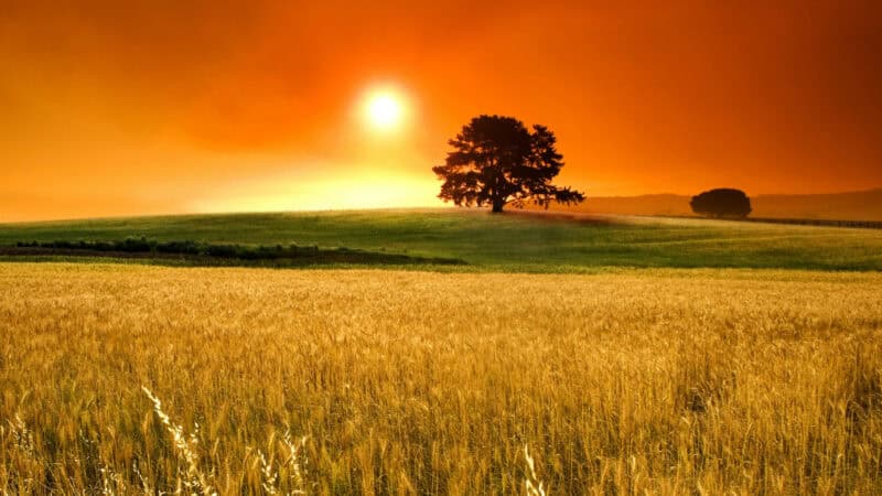 Nice Wallpapers HD - PixelsTalk