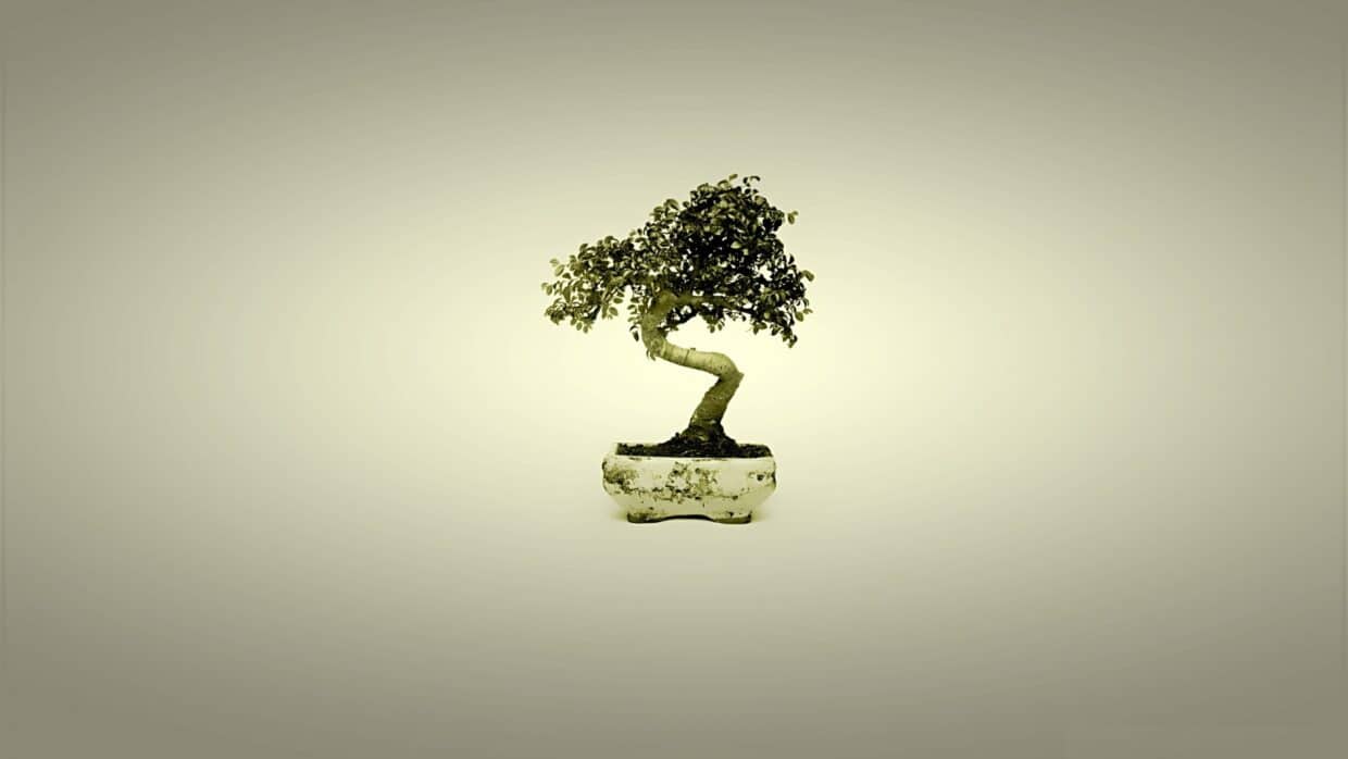 Tree Wallpaper Art Images - PixelsTalk