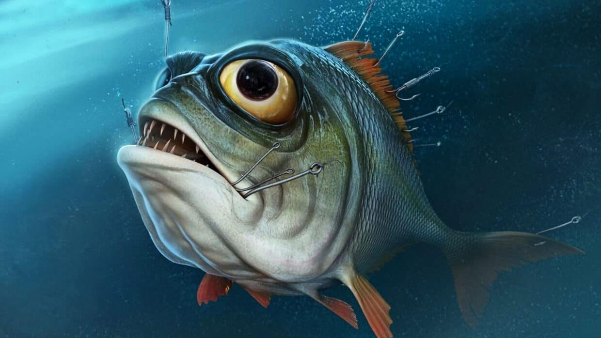 Fishing Wallpaper HD - PixelsTalk