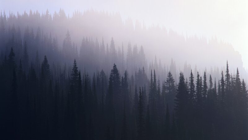 Hipster Backgrounds - PixelsTalk