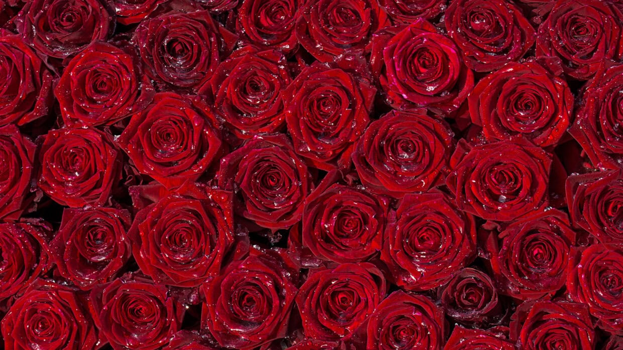 Beautiful Fullscreen HD Wallpapers - PixelsTalk