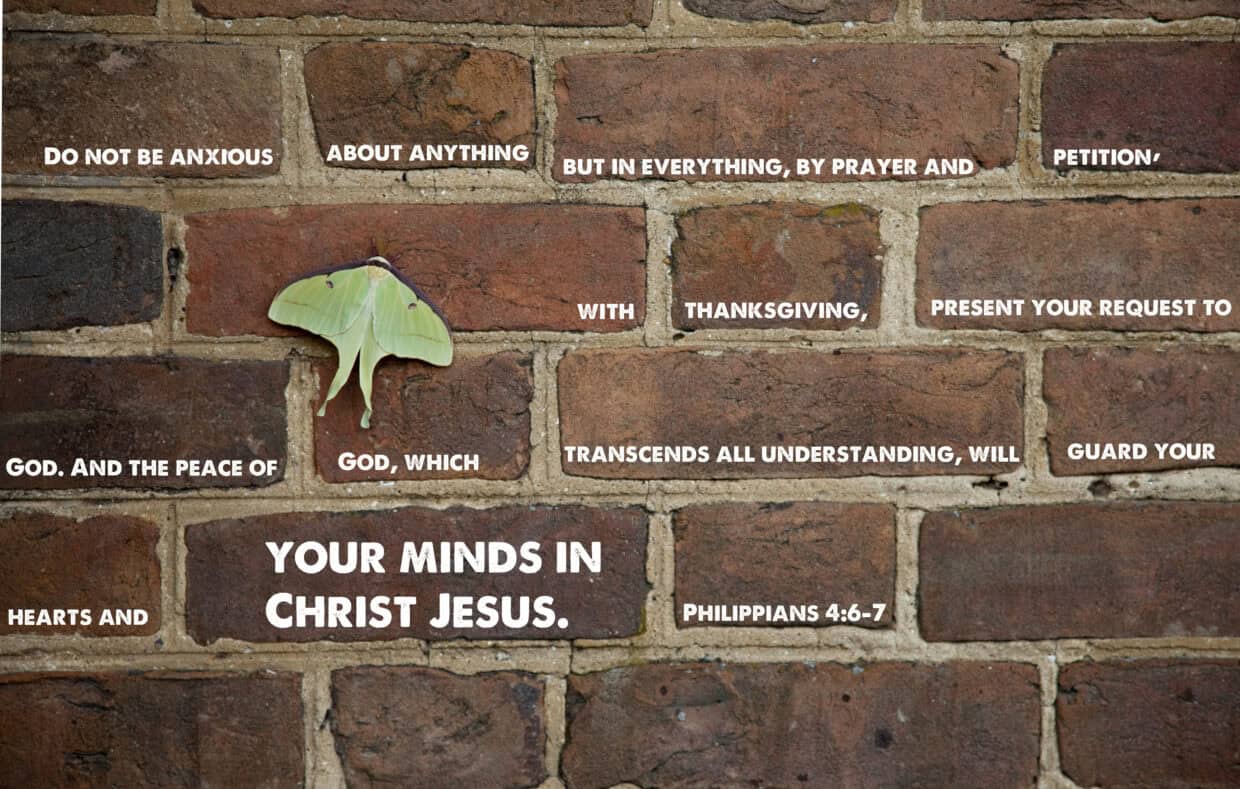 Scripture HD Backgrounds - PixelsTalk