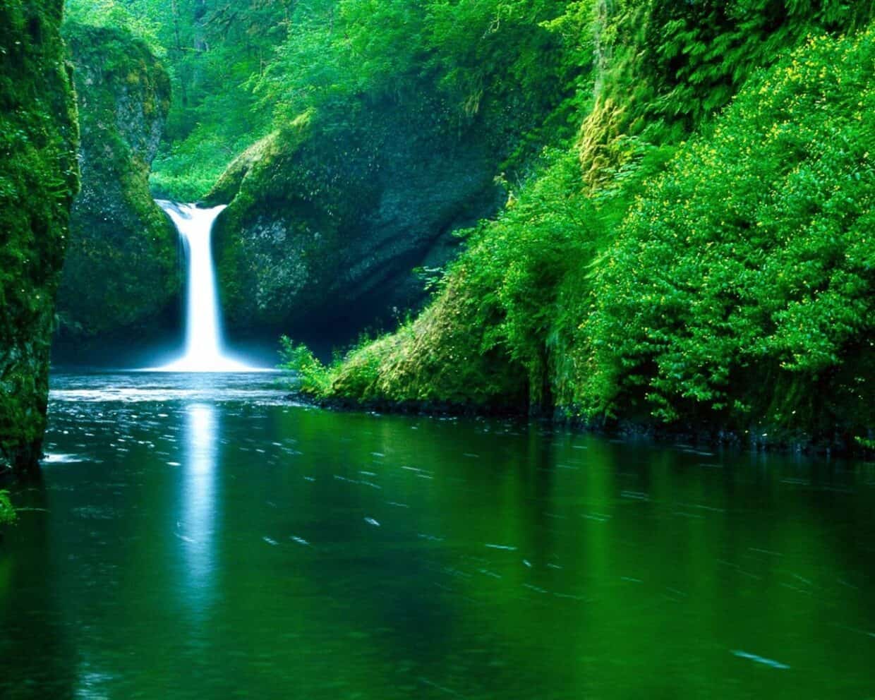 1280x1024 HD Wallpapers - PixelsTalk