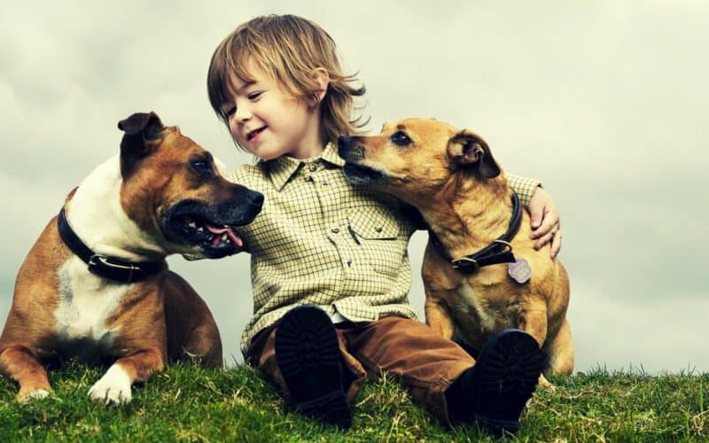 Best Friend Wallpapers HD - PixelsTalk