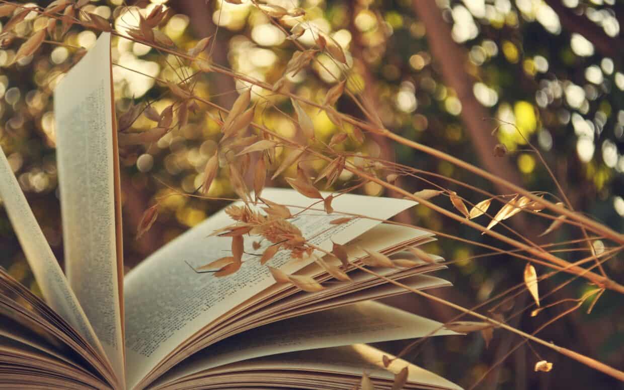 Desktop Book HD Wallpapers - PixelsTalk