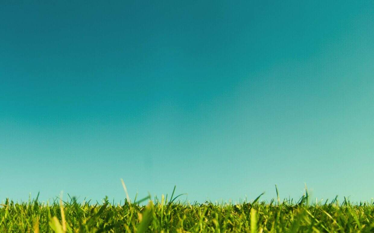 Grass Backgrounds - PixelsTalk