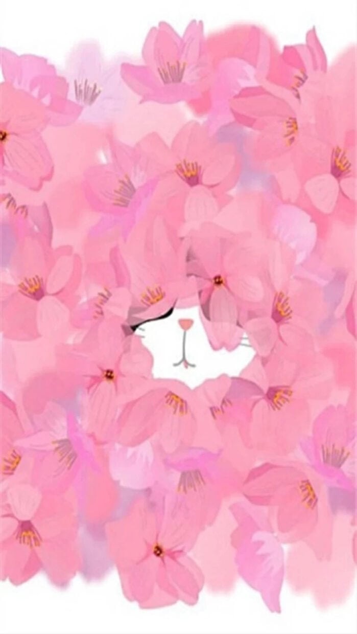 Cute Phone Wallpapers Backgrounds - PixelsTalk