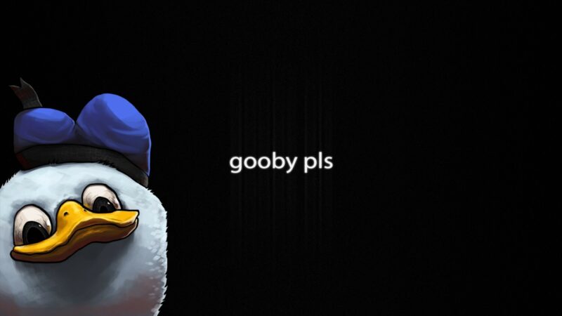 Meme Desktop Wallpapers - PixelsTalk