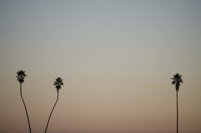 Minimal Backgrounds - PixelsTalk