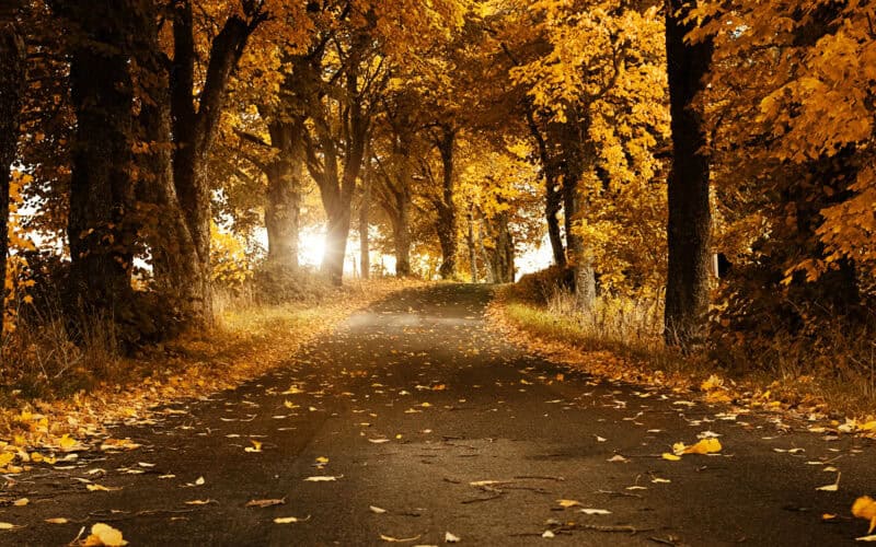 Fall Scenery Wallpapers - PixelsTalk