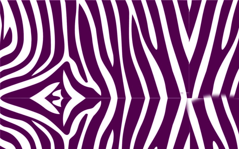 Zebra Print Wallpaper HD - PixelsTalk
