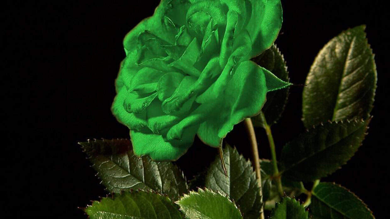 HD Unique Wallpapers - PixelsTalk