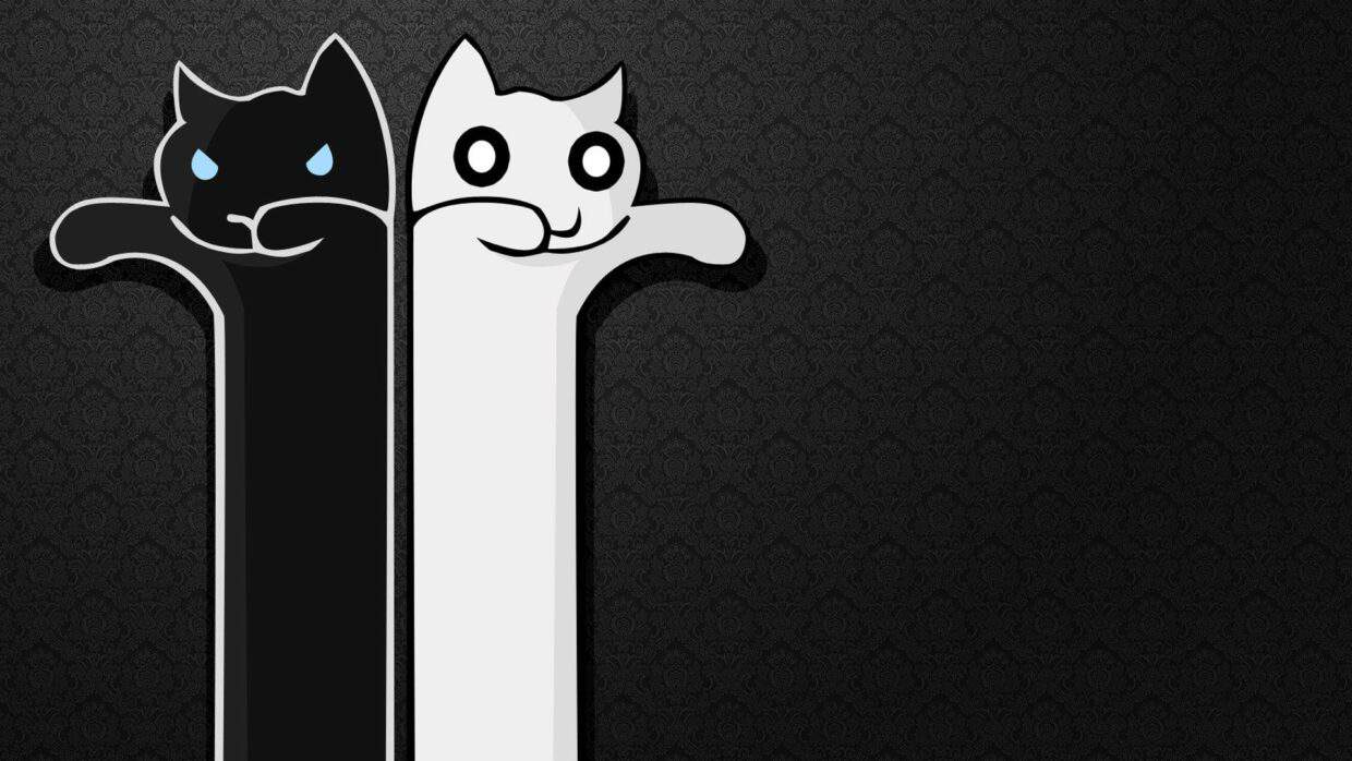 Meme Wallpapers - PixelsTalk