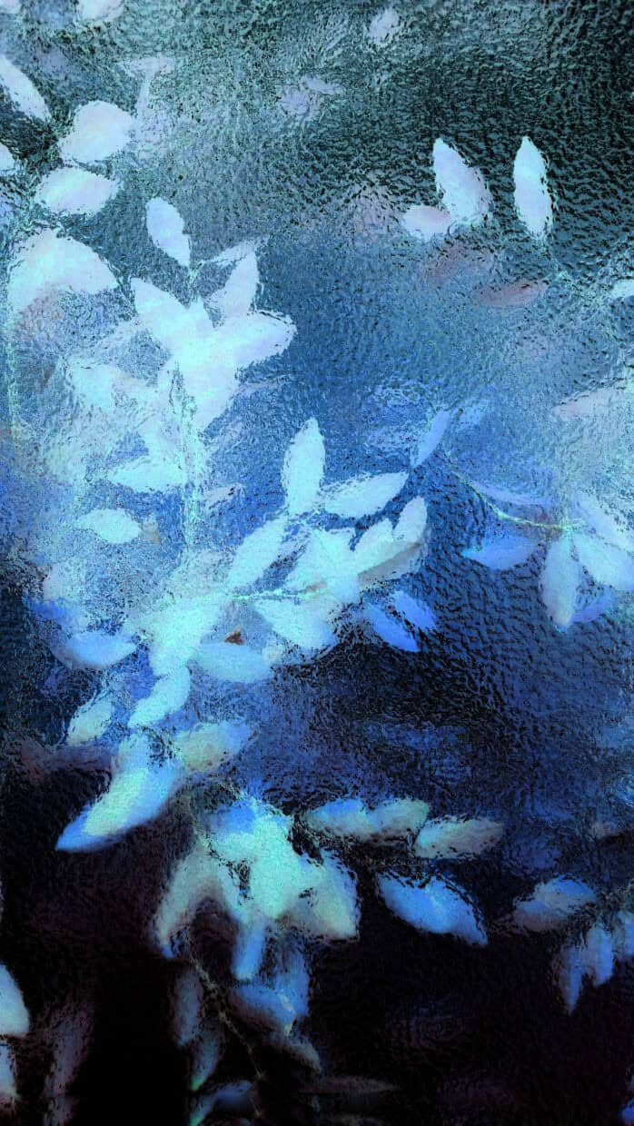Wallpapers For Phone - PixelsTalk