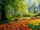 Spring Desktop Wallpaper HD Free Download