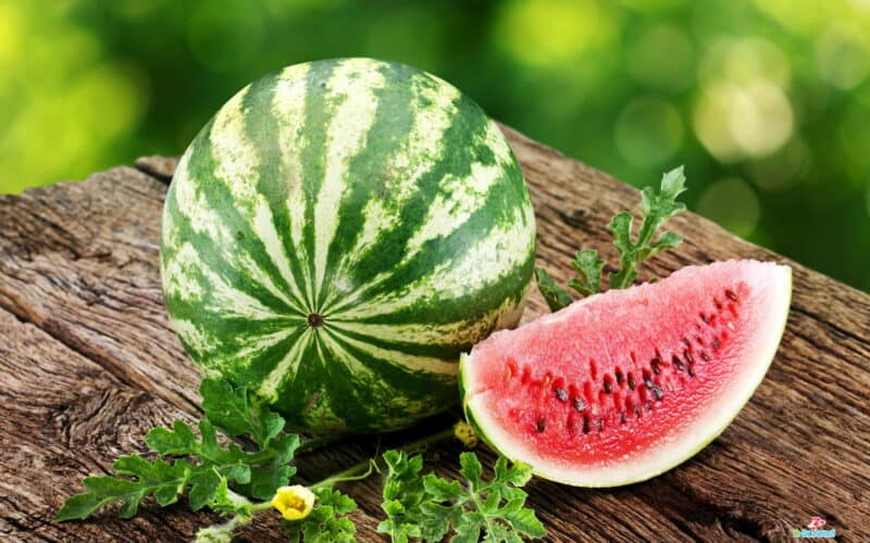 Watermelon Backgrounds - PixelsTalk
