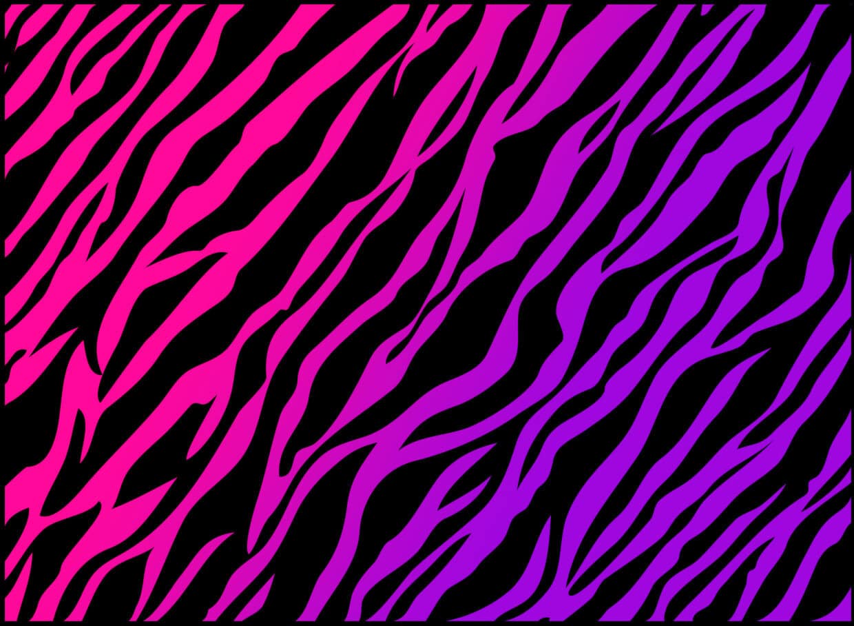 Zebra Print Wallpaper HD - PixelsTalk