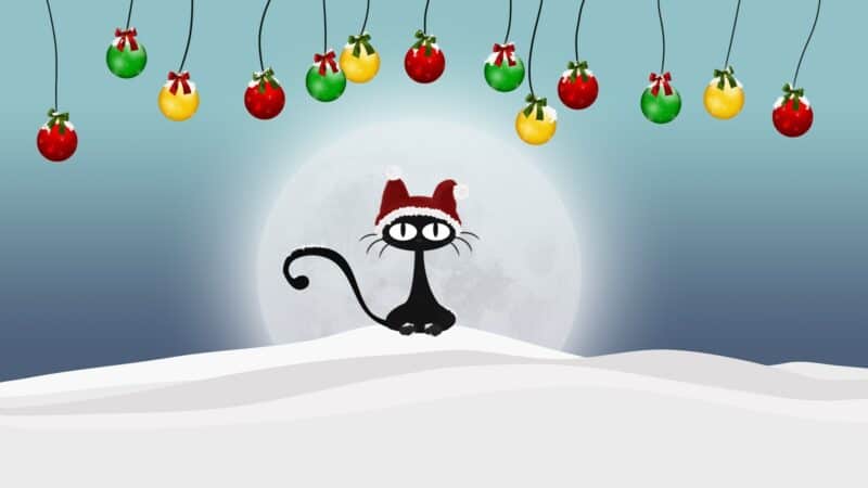 HD Cartoon Cat Backgrounds - PixelsTalk