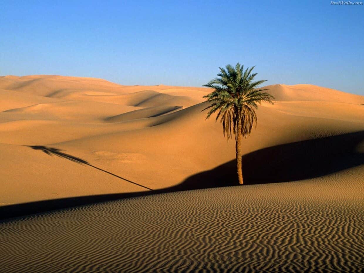 Desert Desktop Wallpapers - PixelsTalk