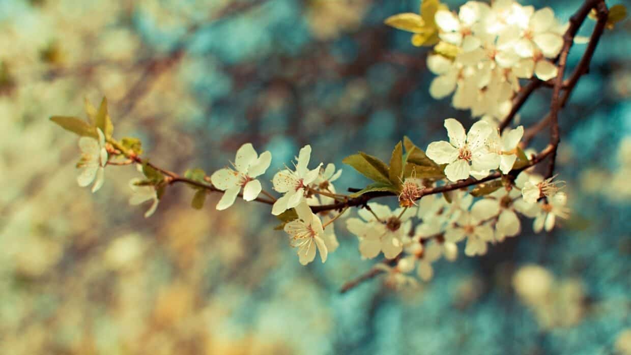 Vintage Desktop Backgrounds - PixelsTalk