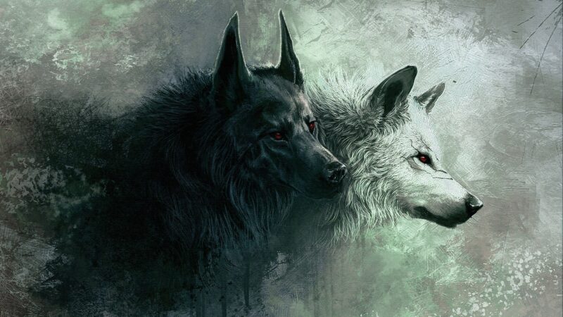 Werewolf HD Backgrounds - PixelsTalk
