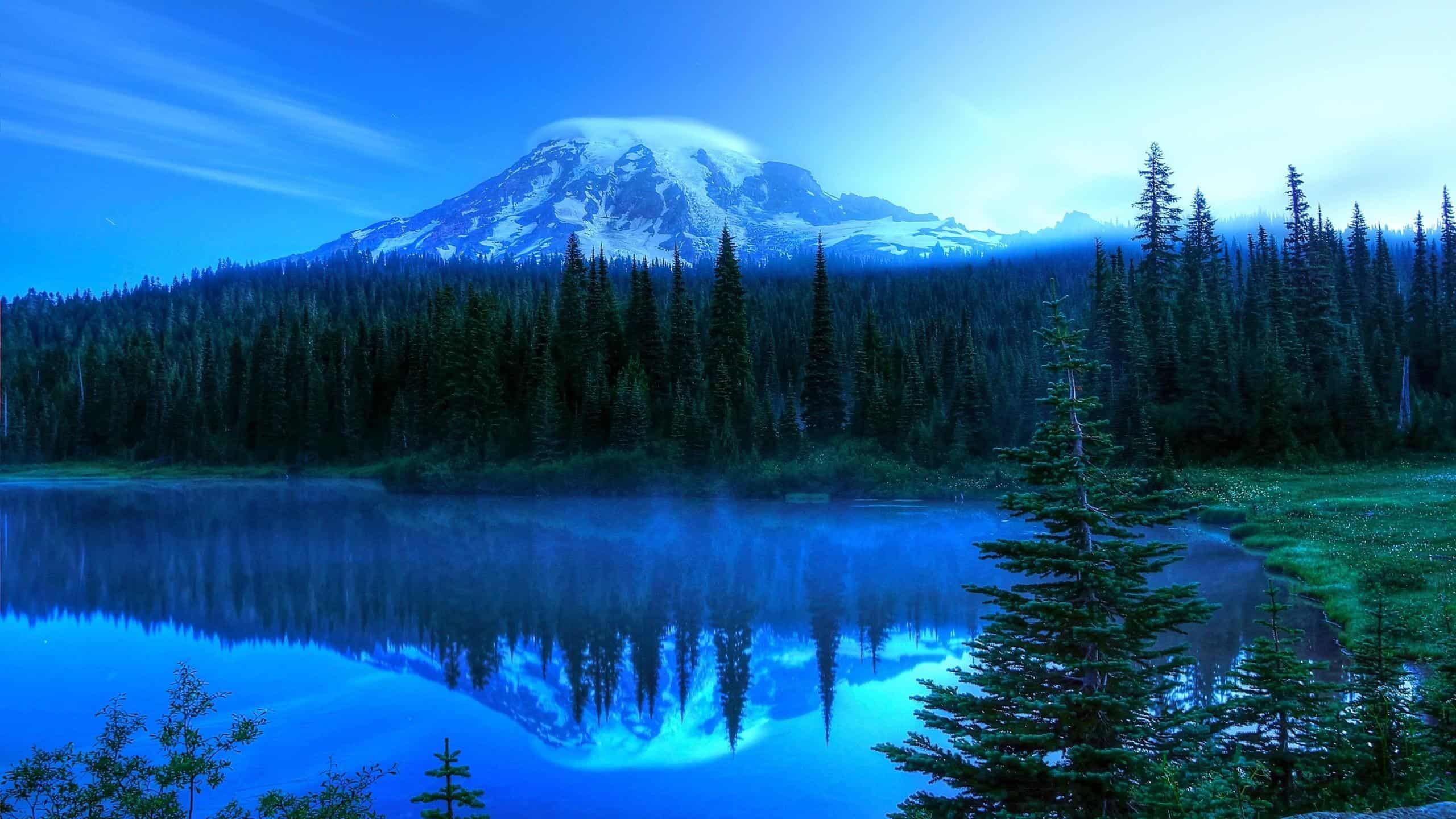HD 2560 X 1440 Backgrounds PixelsTalk Net