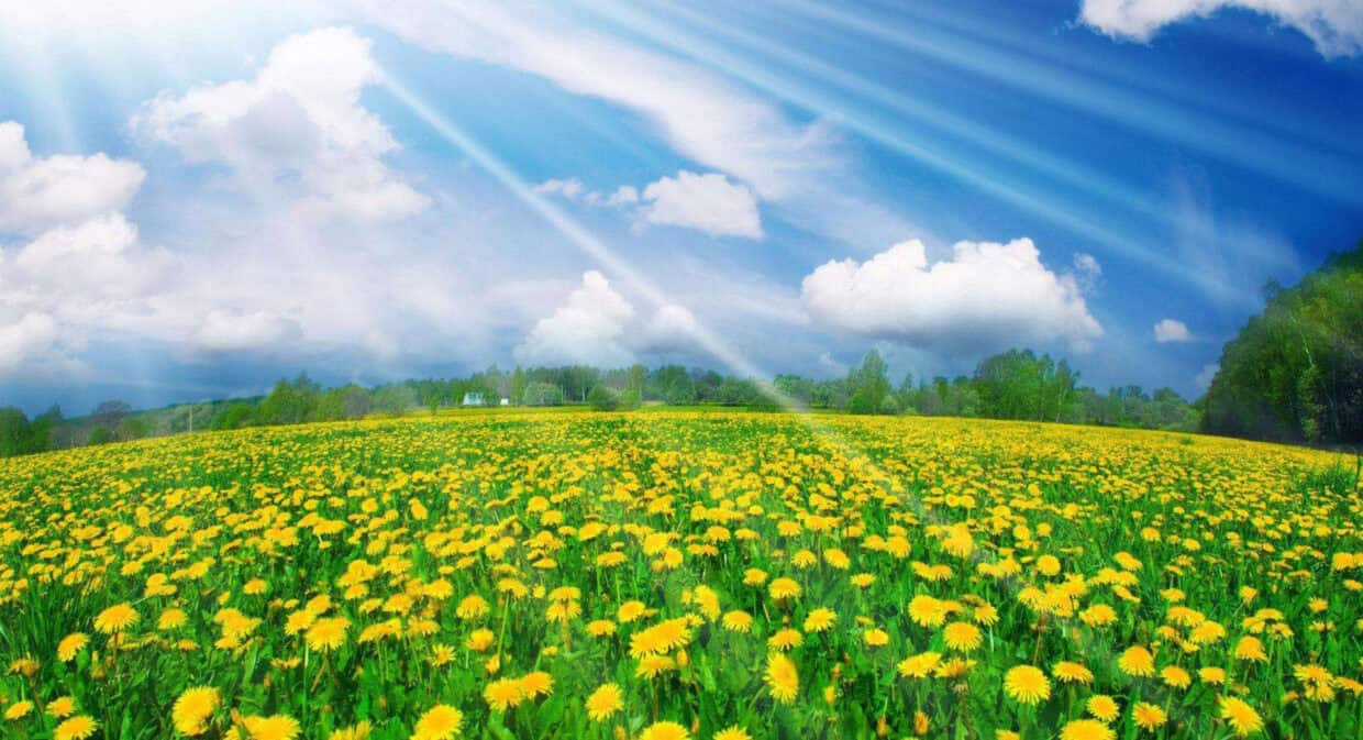 Best HD Backgrounds - PixelsTalk