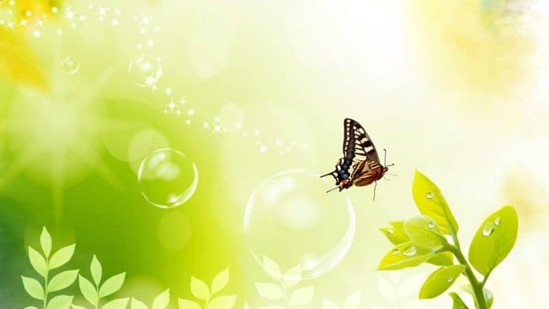 Design Images - PixelsTalk