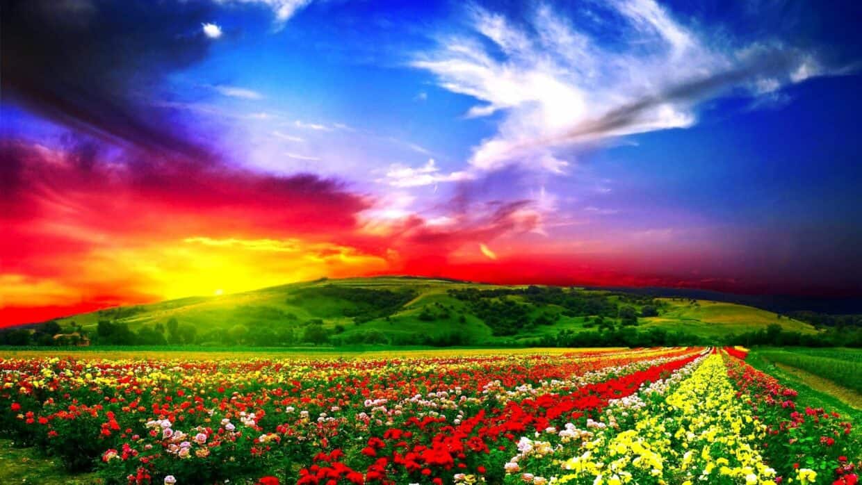 Best New Backgrounds - PixelsTalk