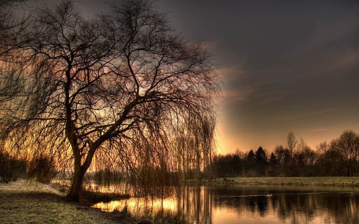 Best Background Wallpapers HD - PixelsTalk