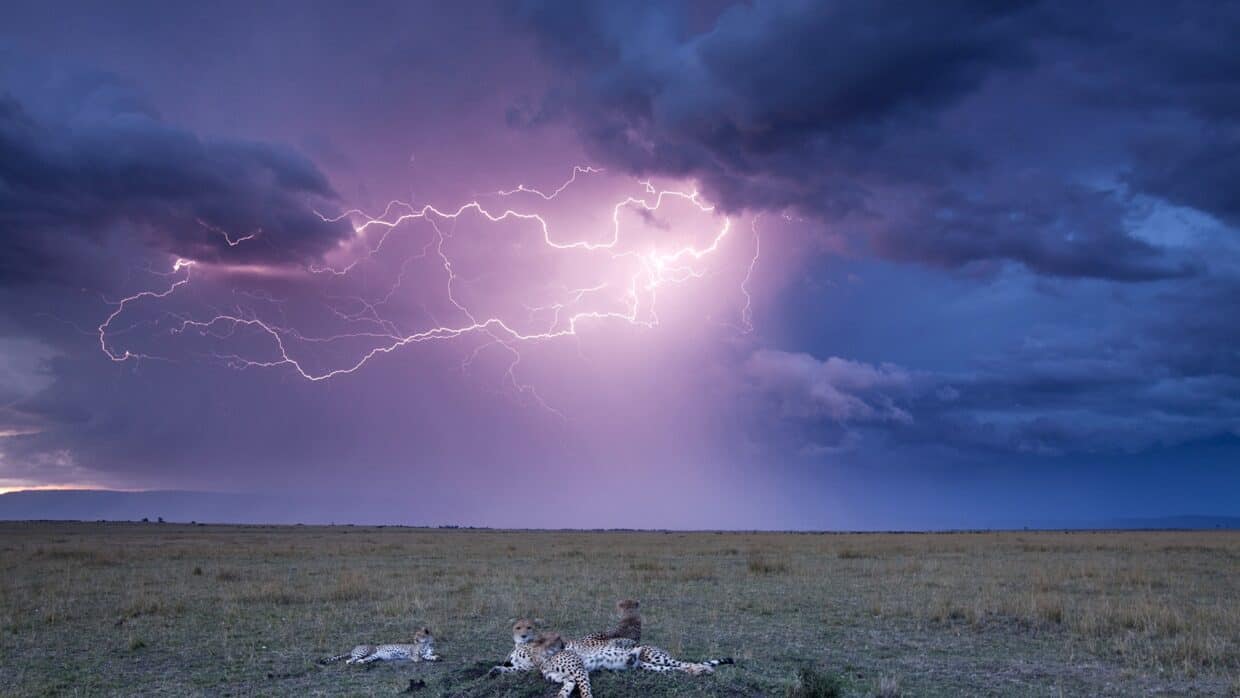 Lightning Storm Backgrounds - PixelsTalk