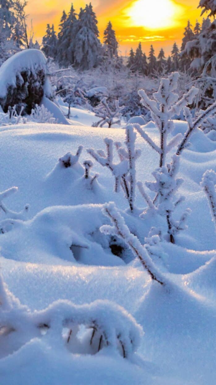 Winter Wallpapers Iphone - PixelsTalk