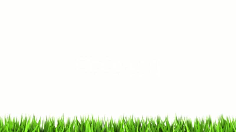 HD All White Wallpaper - PixelsTalk