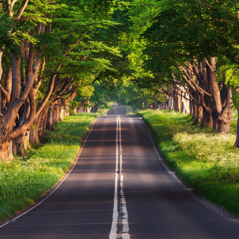 iPad 2 Wallpapers - PixelsTalk