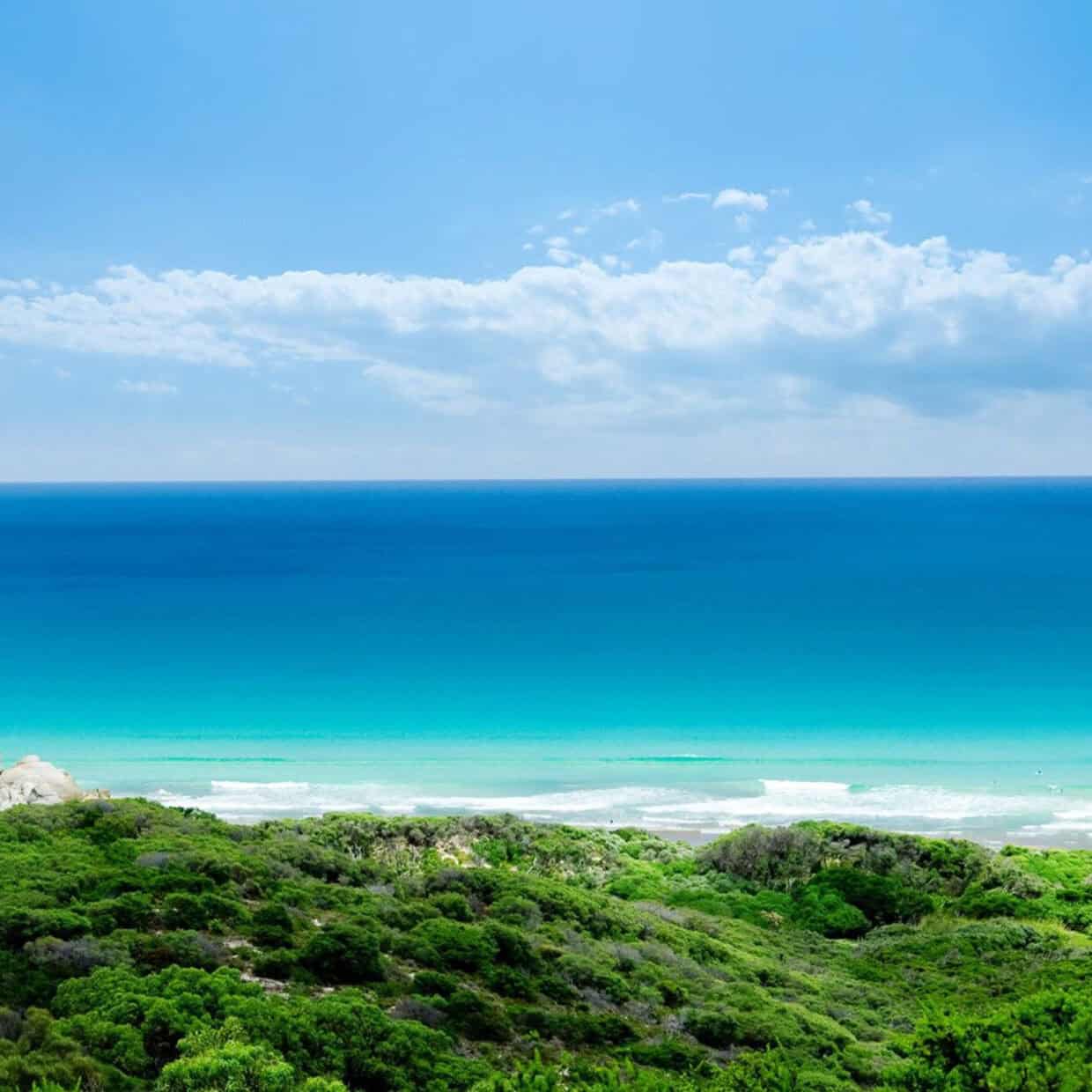 iPad 2 Backgrounds - PixelsTalk