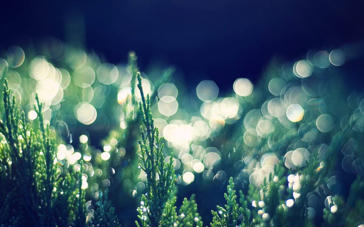 Bokeh Backgrounds - PixelsTalk