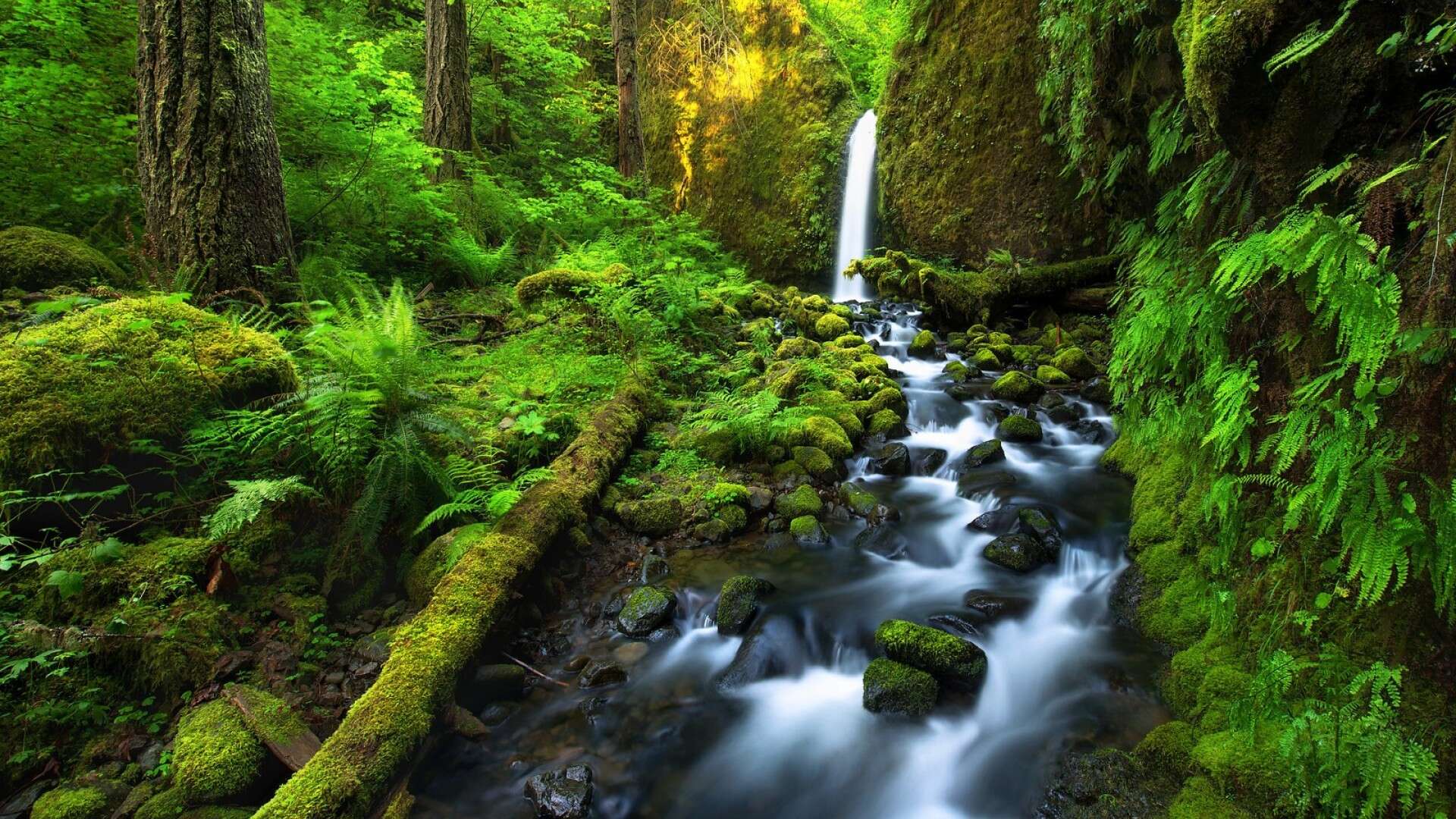 Costa Rica Wallpapers HD PixelsTalk Net