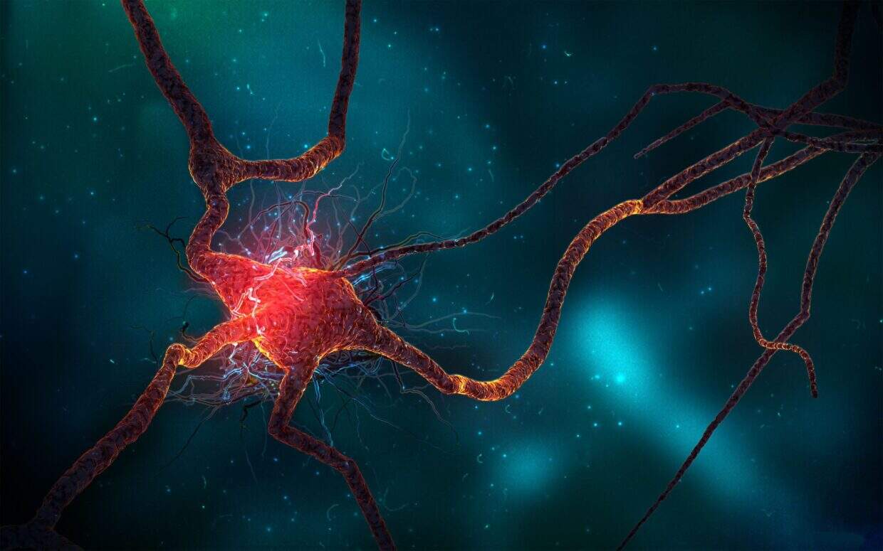 Biology Background For Desktop Pixelstalk