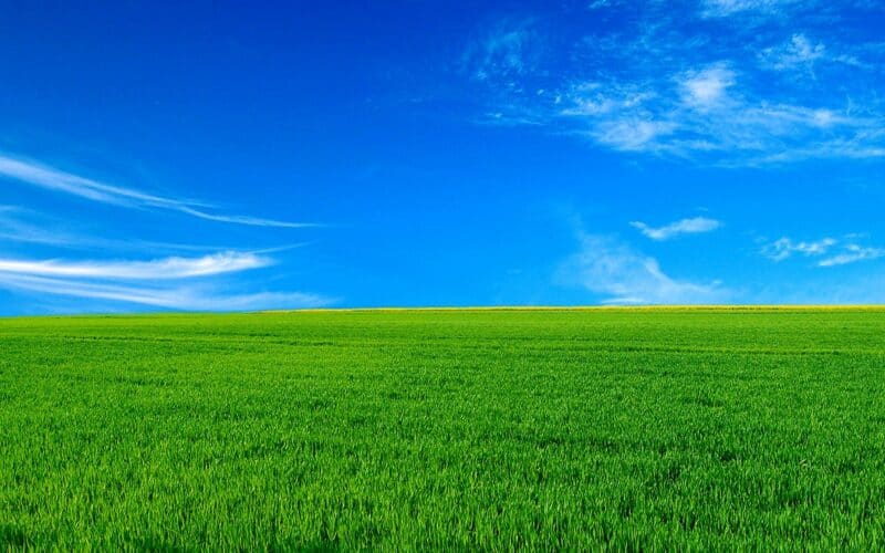 Bliss Desktop Wallpaper - PixelsTalk