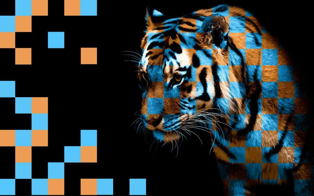 Checkerboard Backgrounds - PixelsTalk