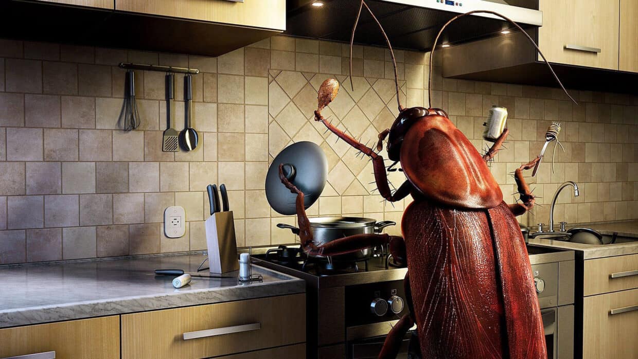Cooking Wallpapers HD - PixelsTalk