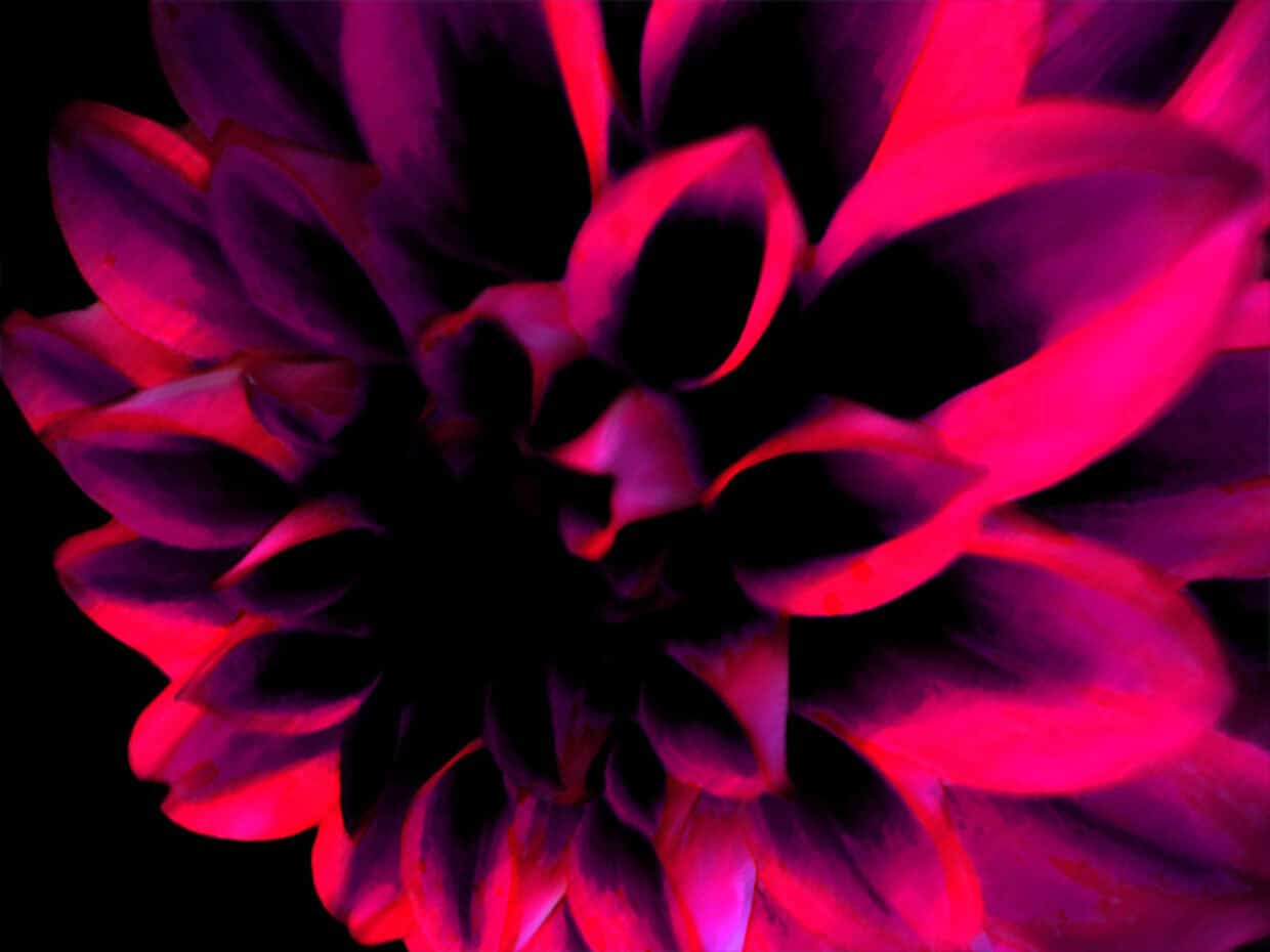 Dark Pink Wallpapers HD - PixelsTalk